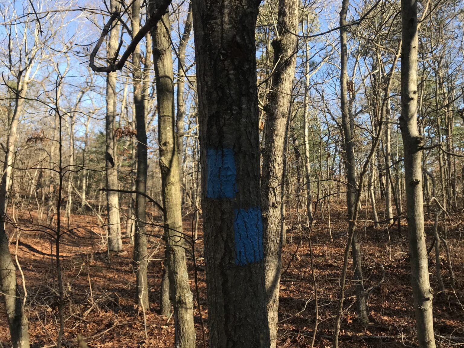 Hiking Trails – Farmingville Historical Society